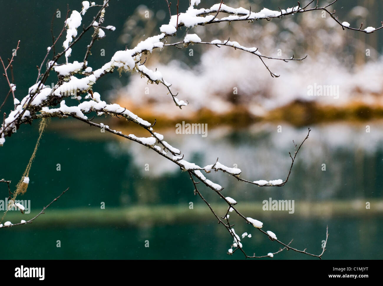 National park china hi-res stock photography and images - Alamy