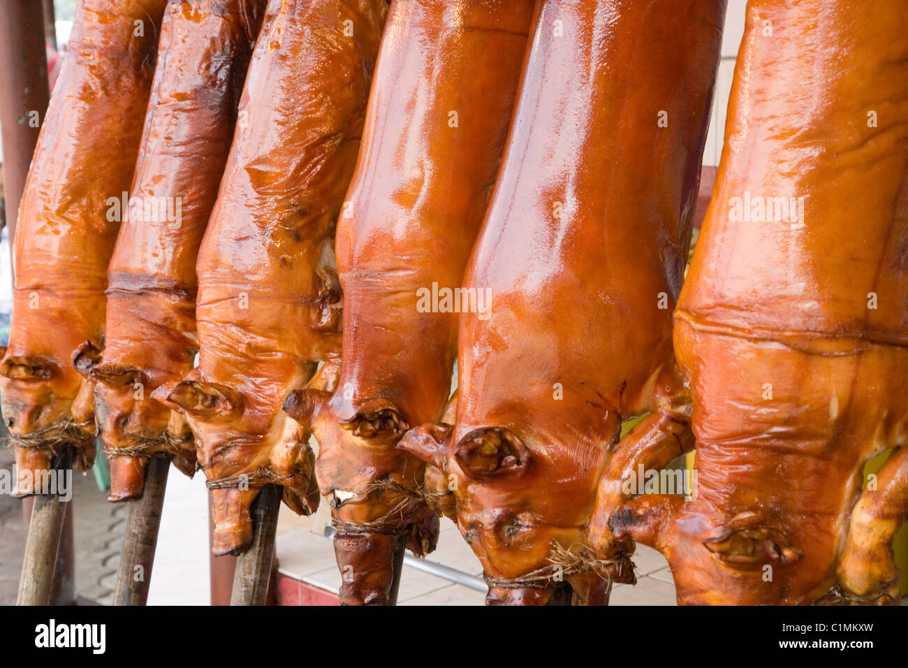 Line of roasted pork (lechon) displayed for sale Stock Photo - Alamy