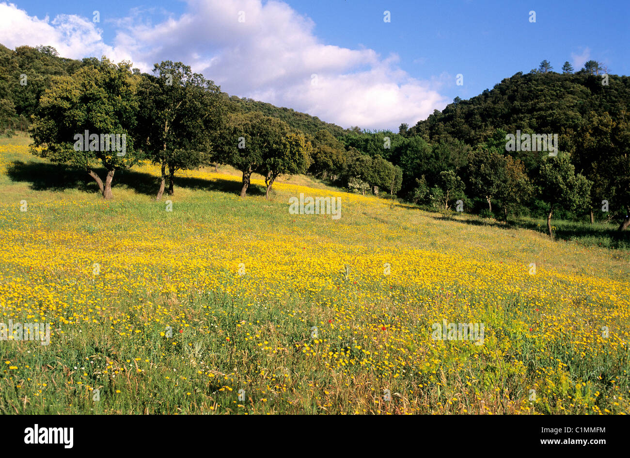 Cortenais region in spring hi-res stock photography and images - Alamy