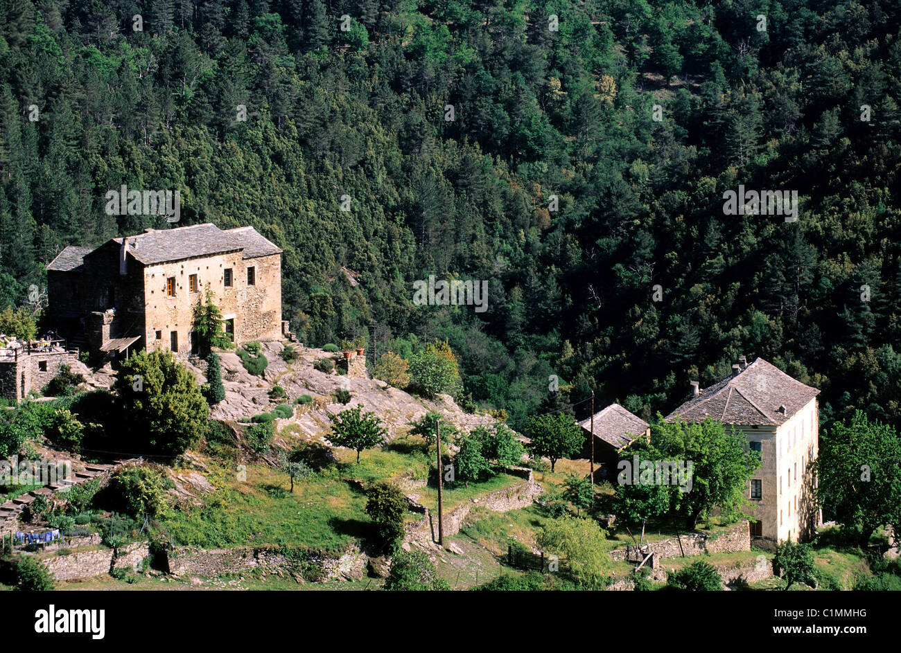 Morosaglia hi-res stock photography and images - Alamy