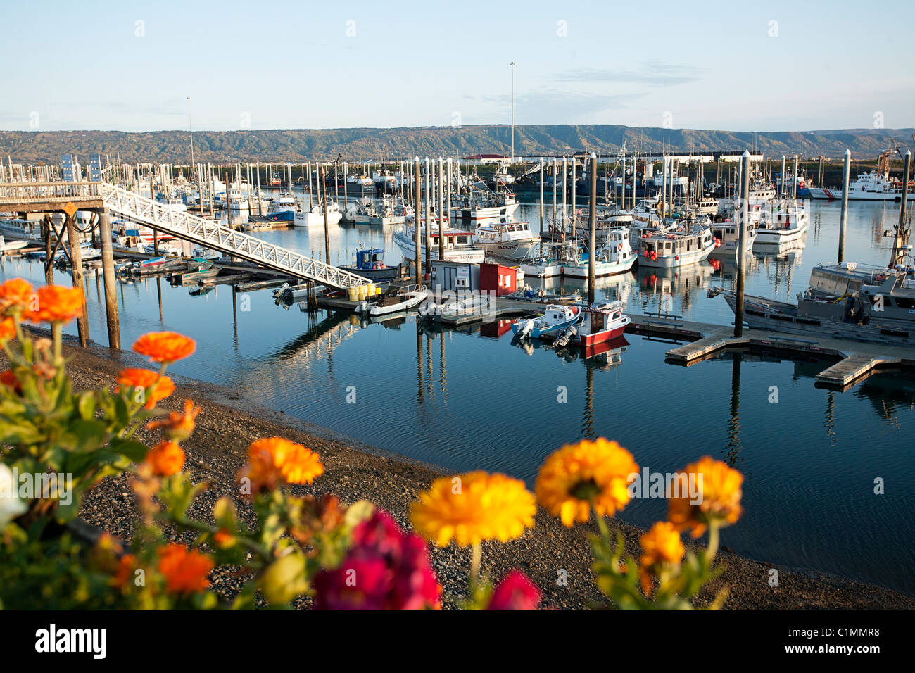 Harbor in Homer Alaska Stock Photo - Alamy