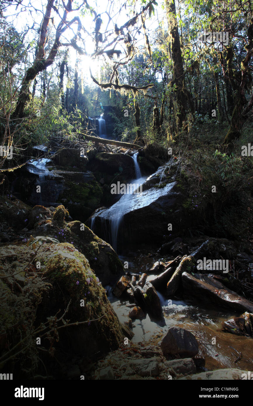 Nepali nature hi-res stock photography and images - Alamy