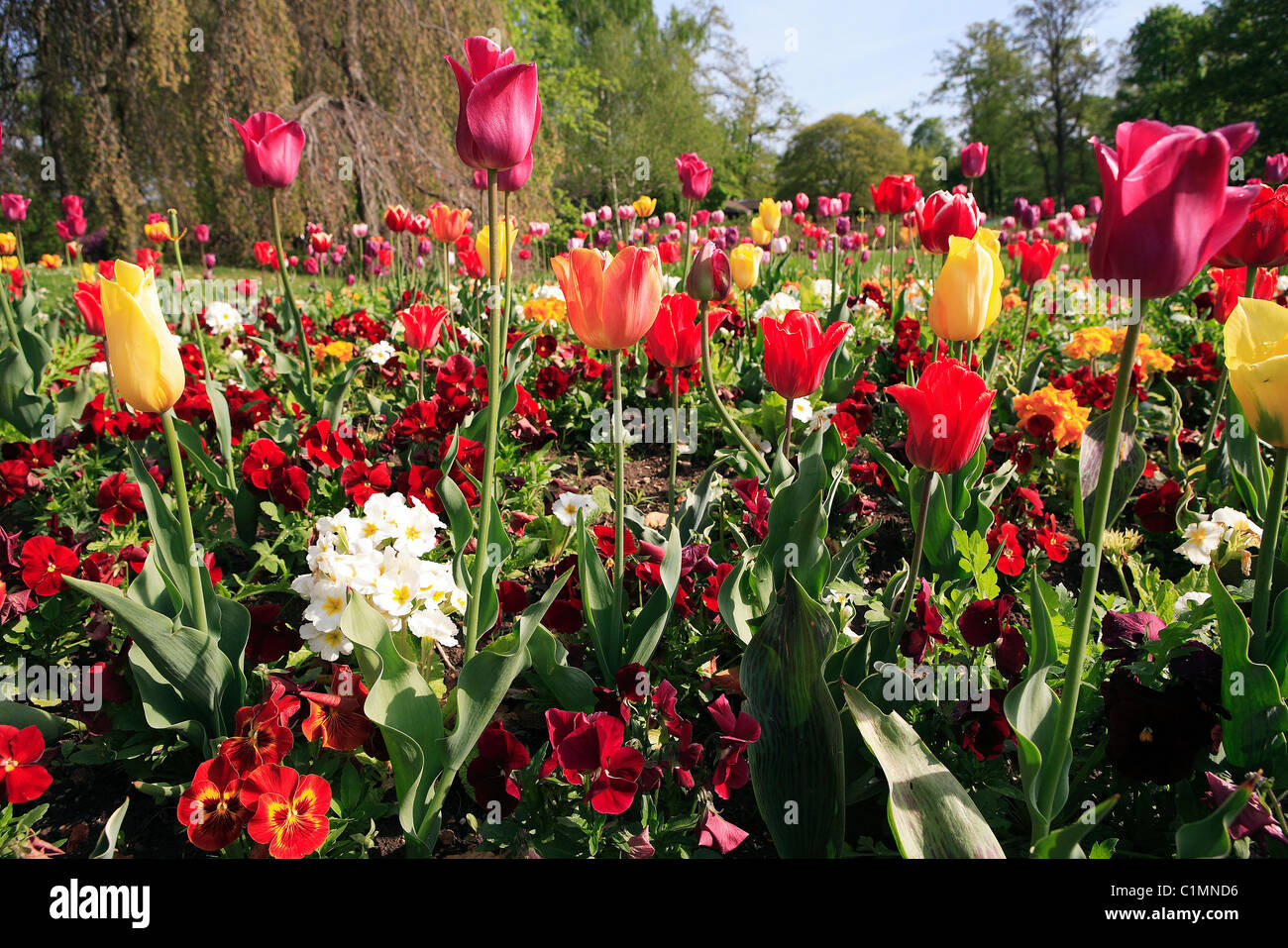 France, Paris, Palais Royal, sculpture by Paul Bury Stock Photo - Alamy