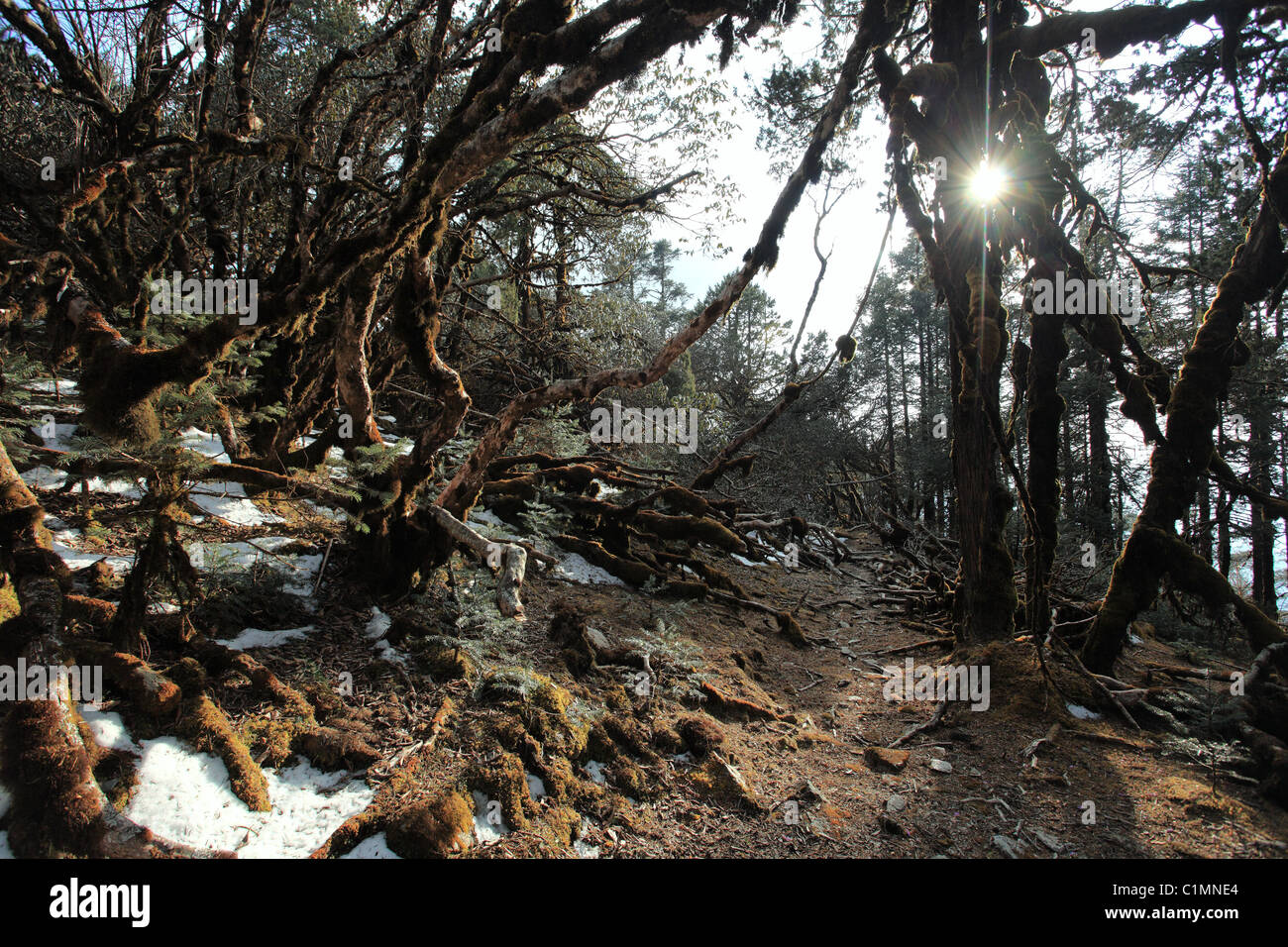 Nepali landscape Nepal Himalaya Stock Photo - Alamy