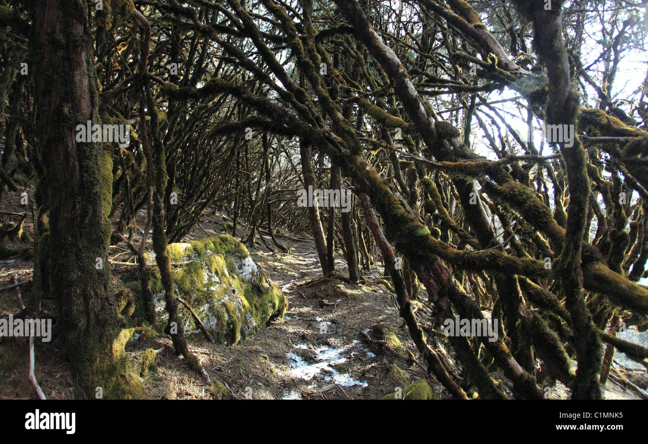 Nepali landscape Nepal Himalaya Stock Photo - Alamy