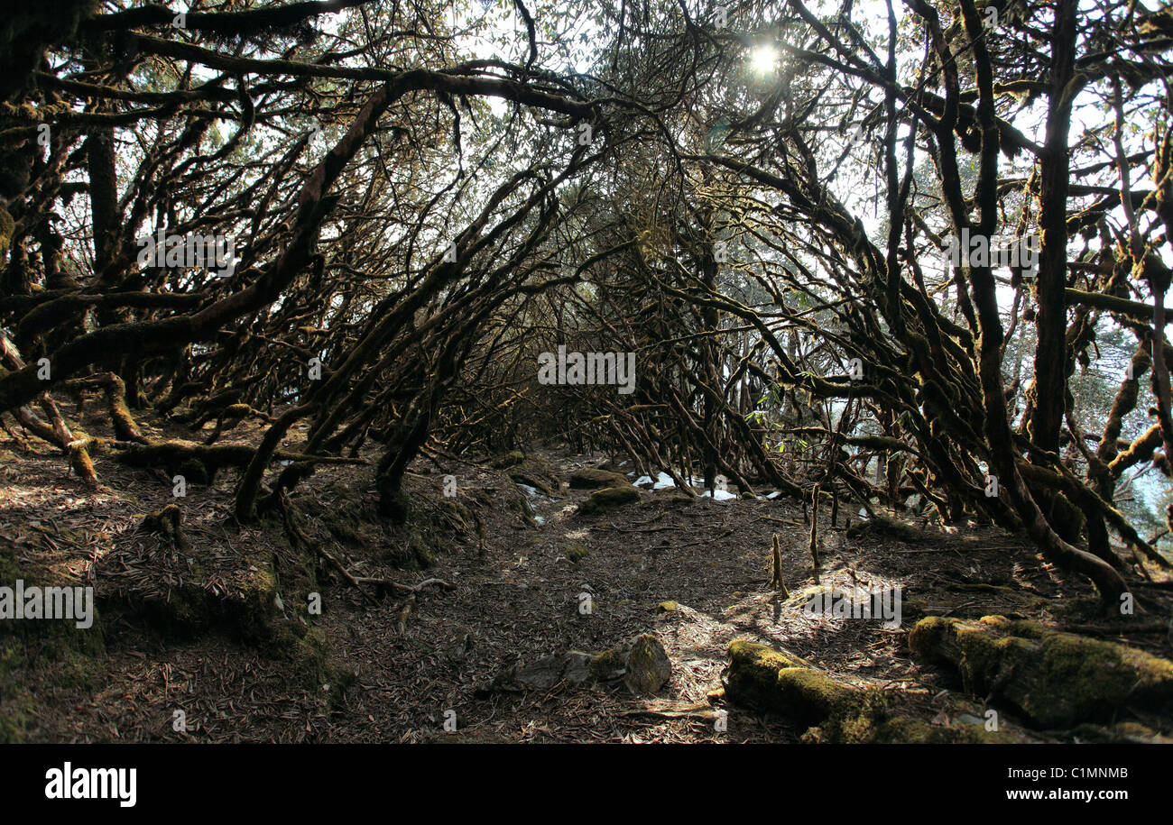 Nepali landscape Nepal Himalaya Stock Photo - Alamy