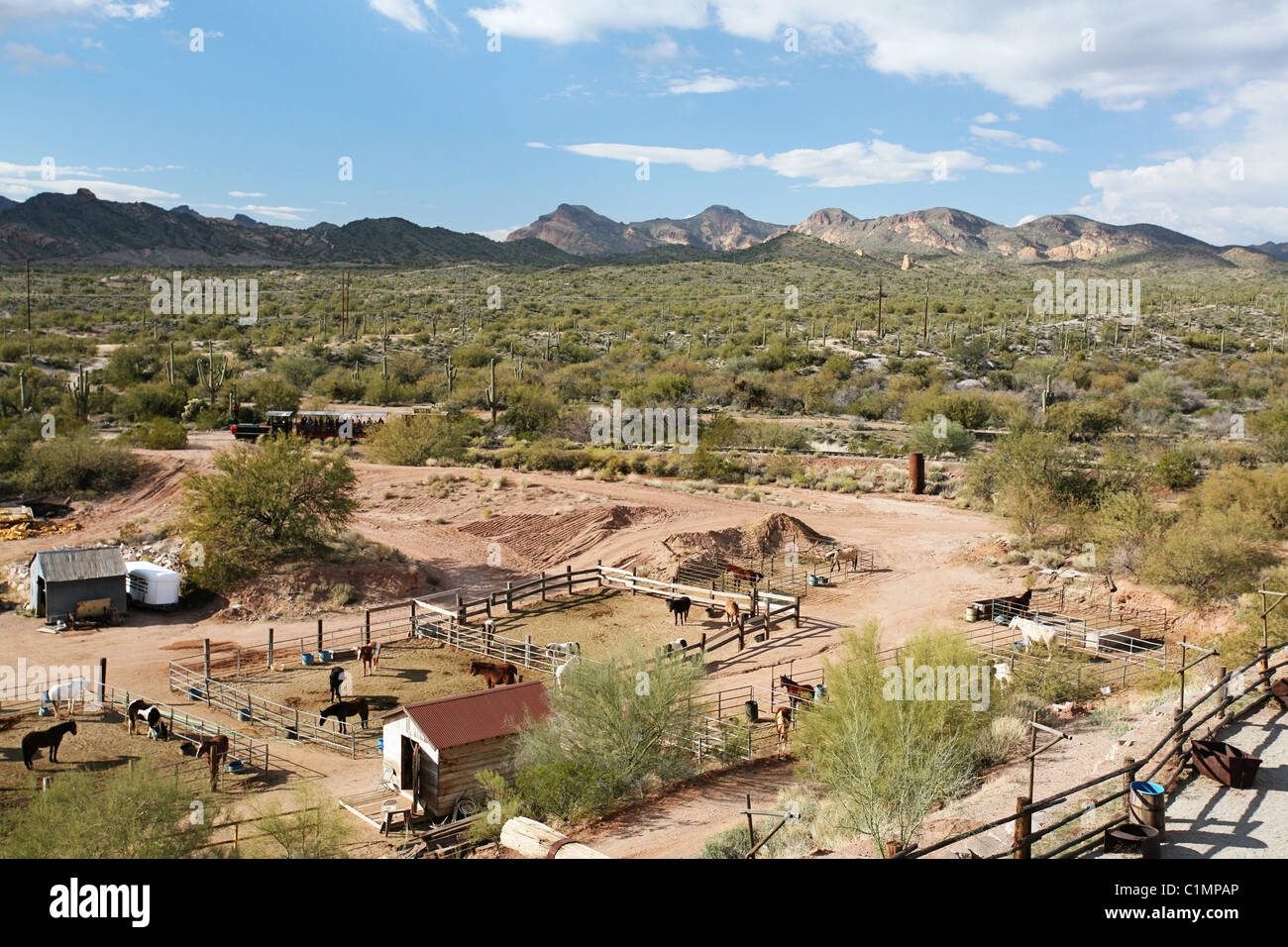 Horses Ghost High Resolution Stock Photography and Images - Alamy