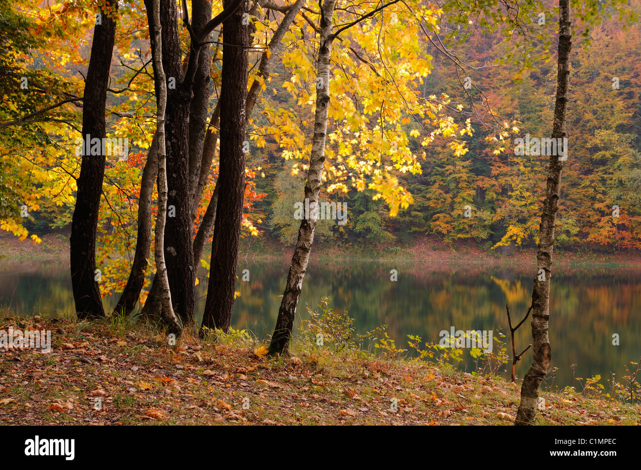 Fall season on Lokvarsko lake, Croatia Stock Photo - Alamy