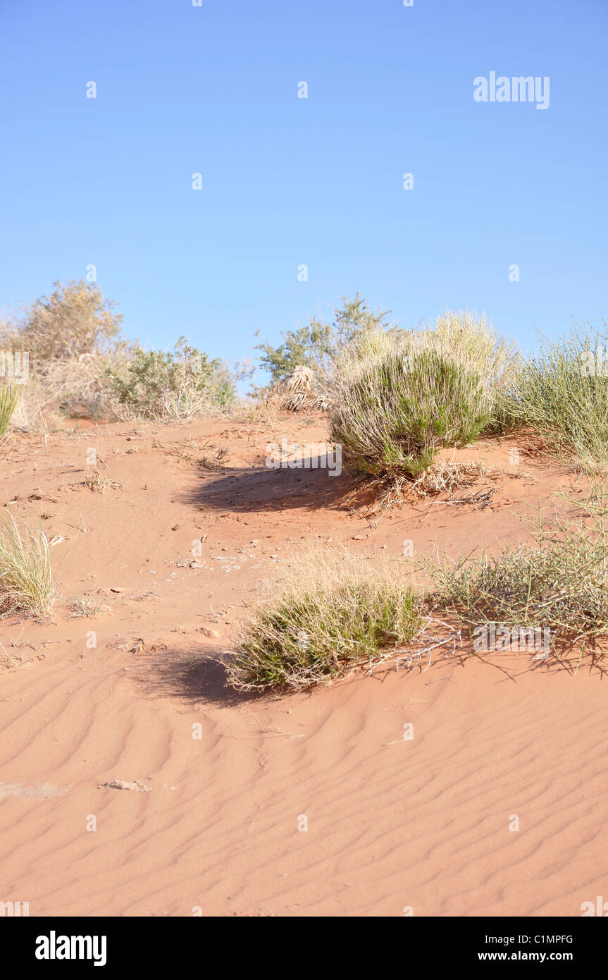 Sand dunes in Monument Valley, Arizona, USA Stock Photo - Alamy
