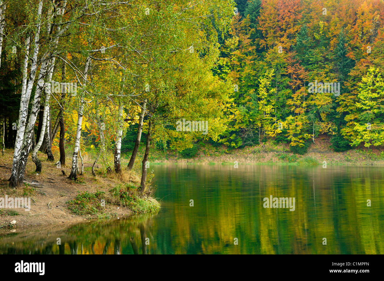 Fall season on Lokvarsko lake, Croatia Stock Photo - Alamy