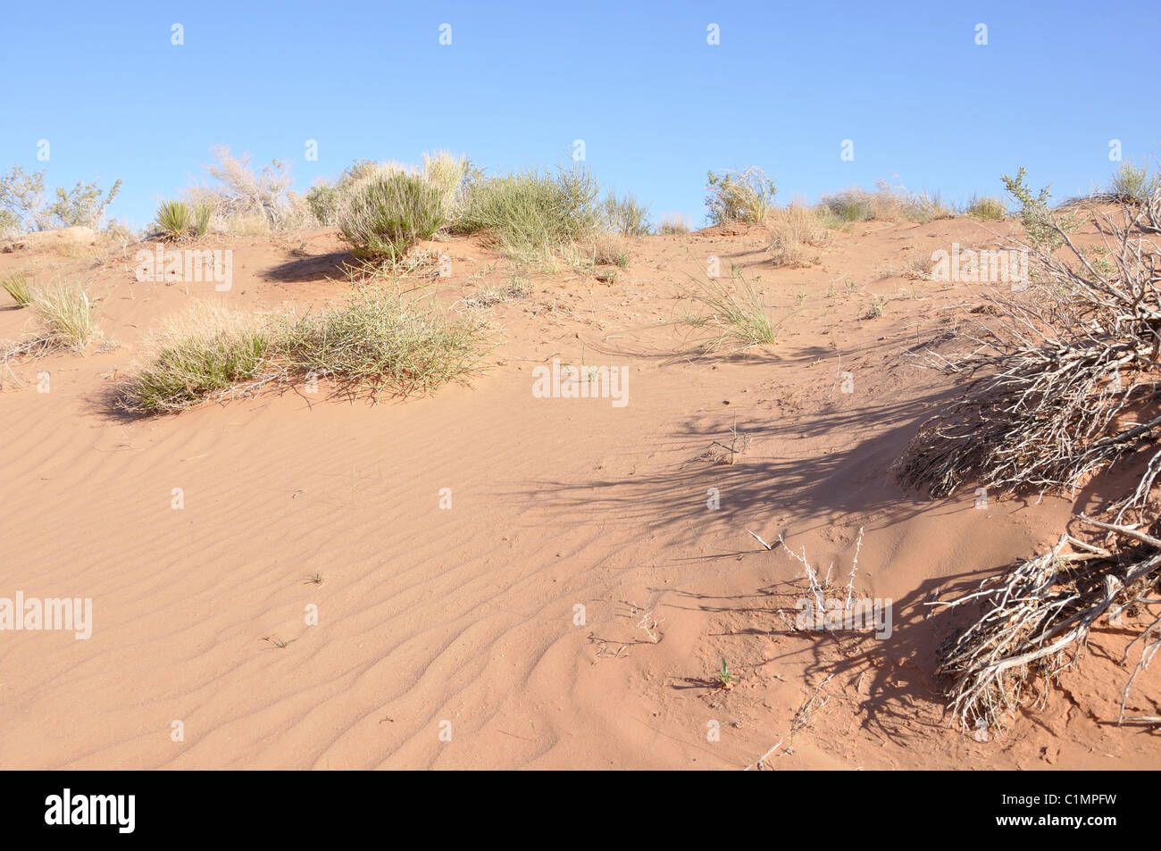 Sand dunes in Monument Valley, Arizona, USA Stock Photo - Alamy