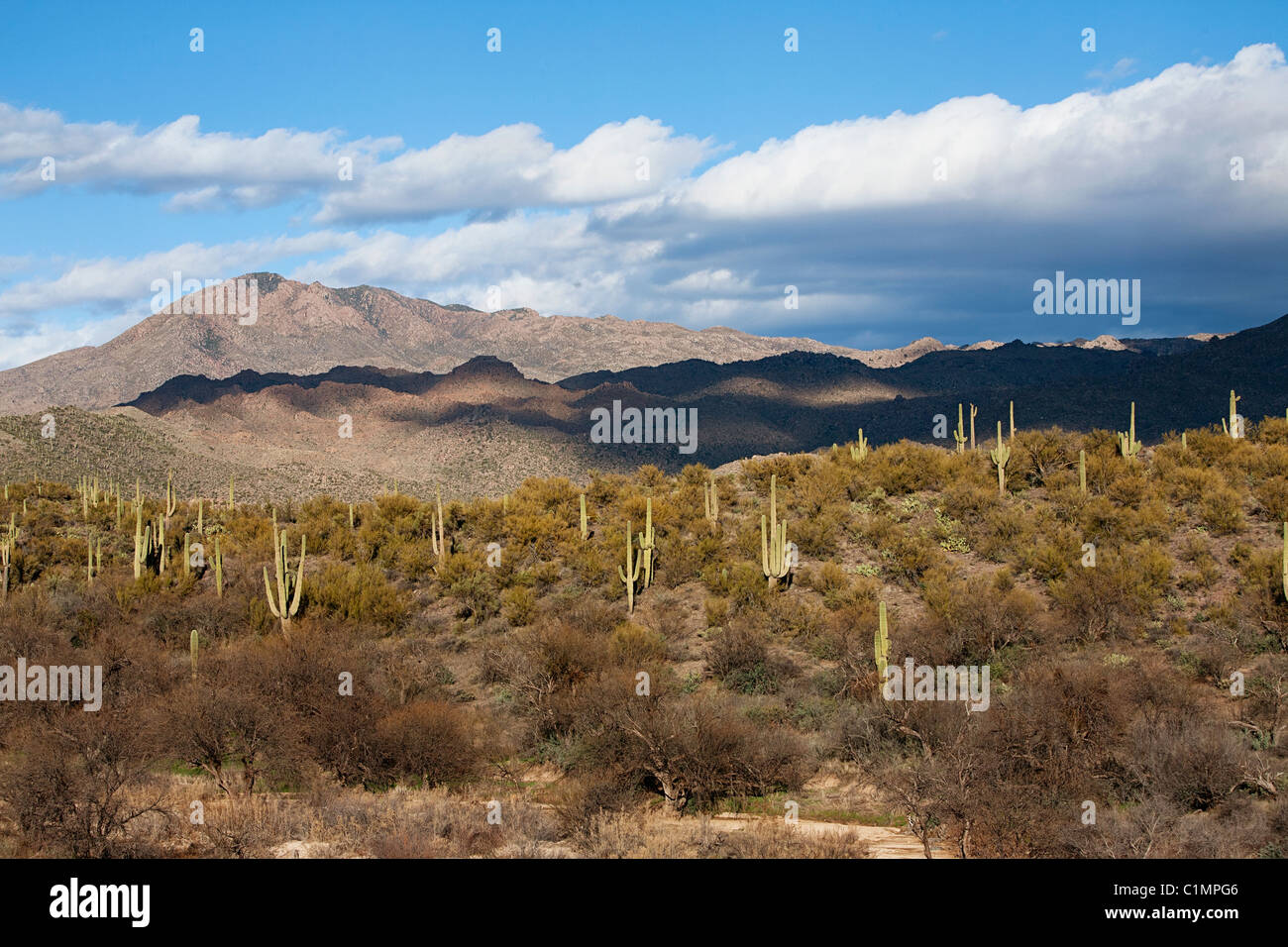 Arizona desert landscape Stock Photo - Alamy