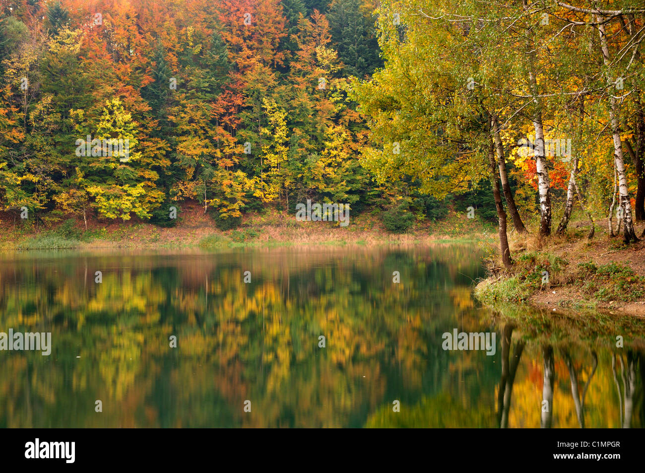 Fall season on Lokvarsko lake, Croatia Stock Photo - Alamy