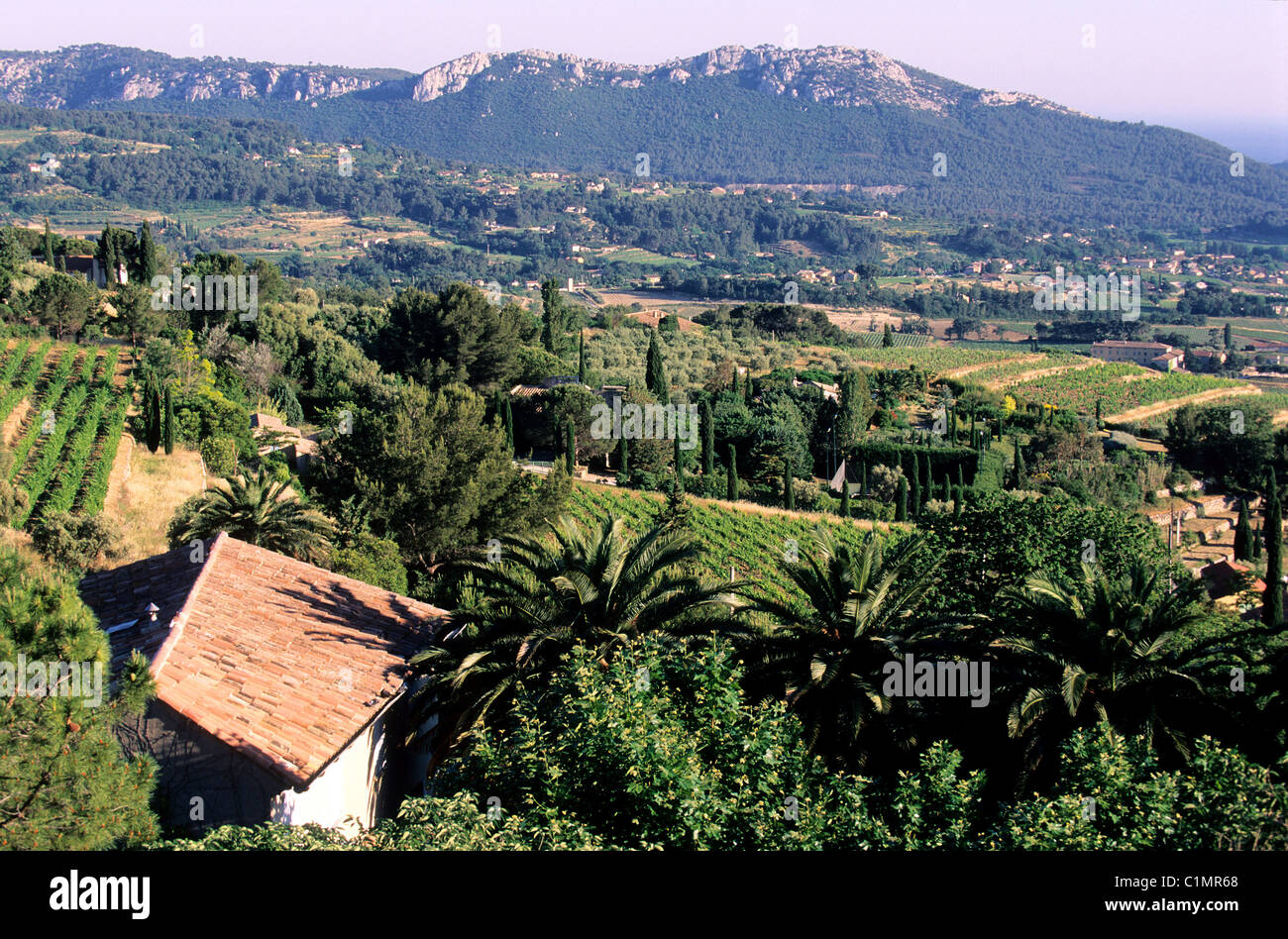 Vineyard of bandol aoc hi-res stock photography and images - Alamy