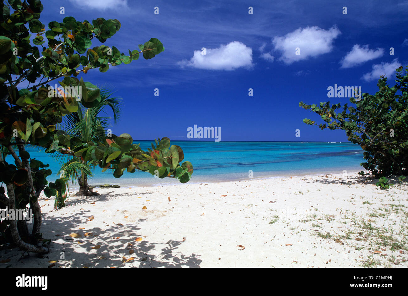 France, Guadeloupe, Grande Terre, Port Louis, beach of the Souffleur ...