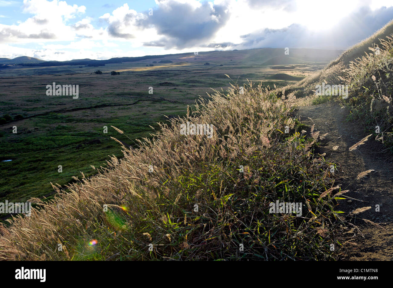 Chile Easter Island Rano Raraku is a volcanic crater formed of ...