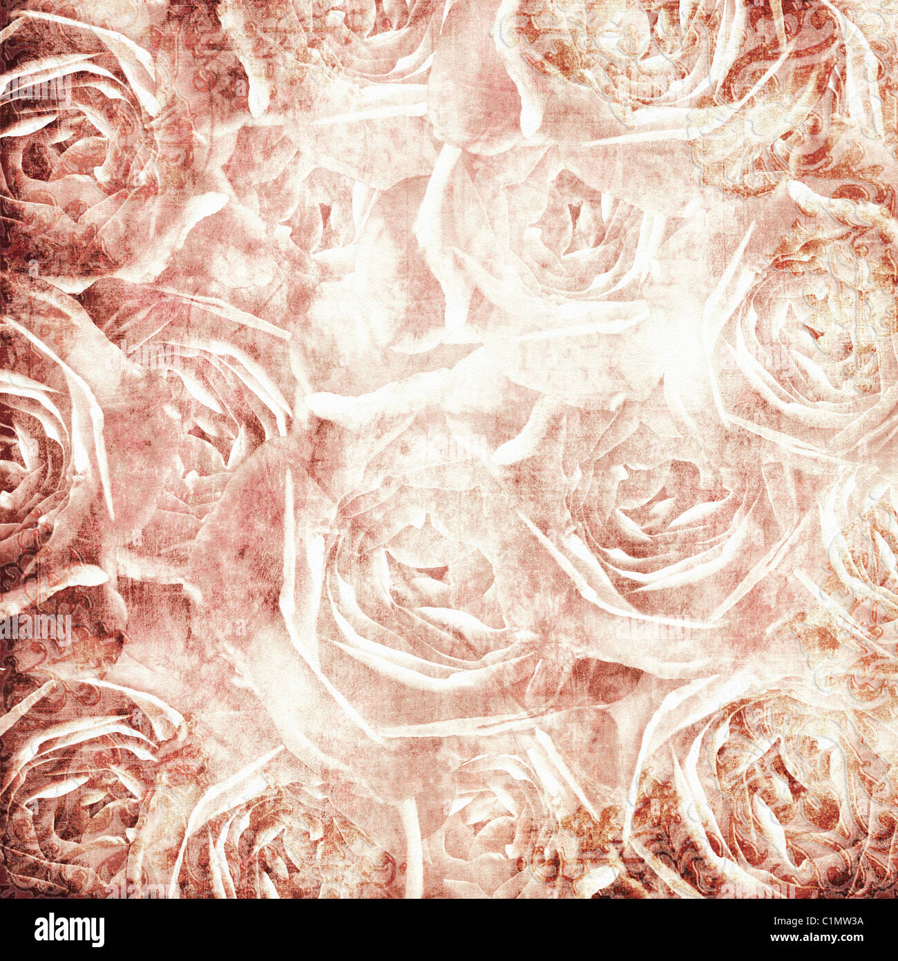 Grunge Beautiful Roses Background ( 1 of set Stock Photo - Alamy