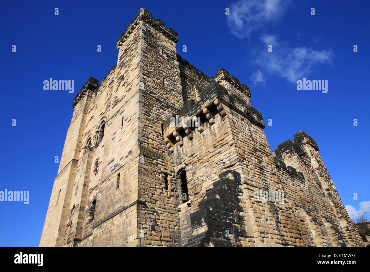 Newcastle upon Tyne keep or castle, NE England, UK Stock Photo - Alamy