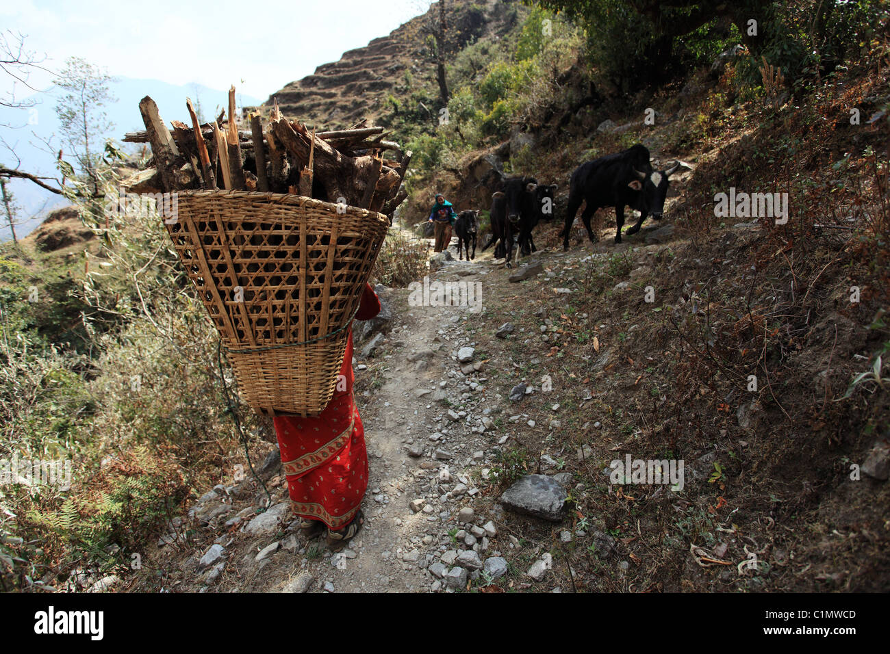 Nepali landscape Nepal Himalaya Stock Photo - Alamy