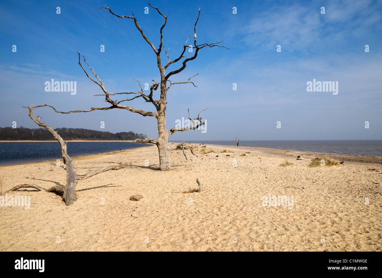 Suffolk coastal scene hi-res stock photography and images - Alamy