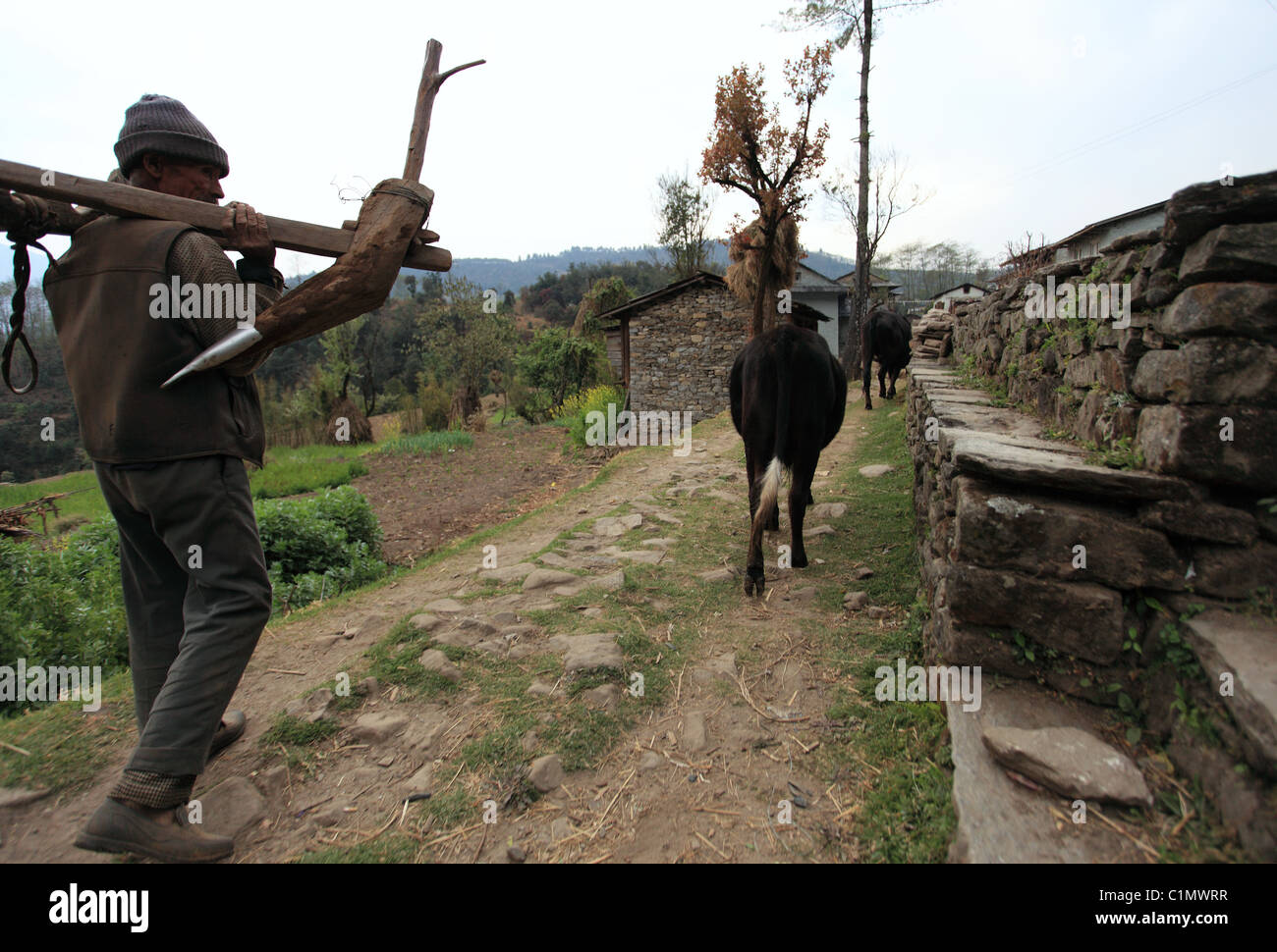 Nepali man hi-res stock photography and images - Alamy
