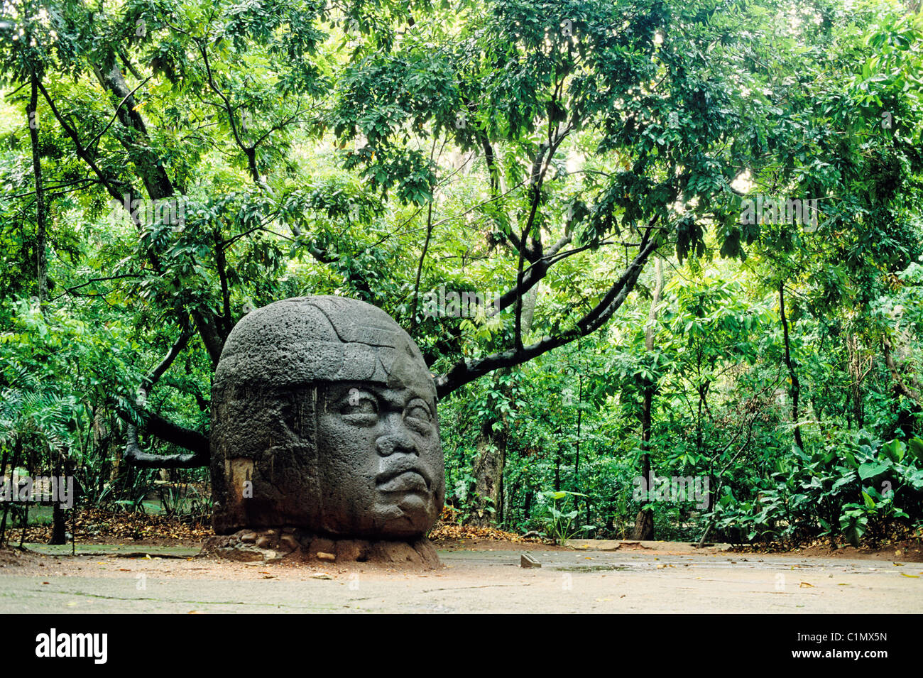Mexico, Tabasco state, Villahermosa, La venta park, Olmec head Stock Photo - Alamy