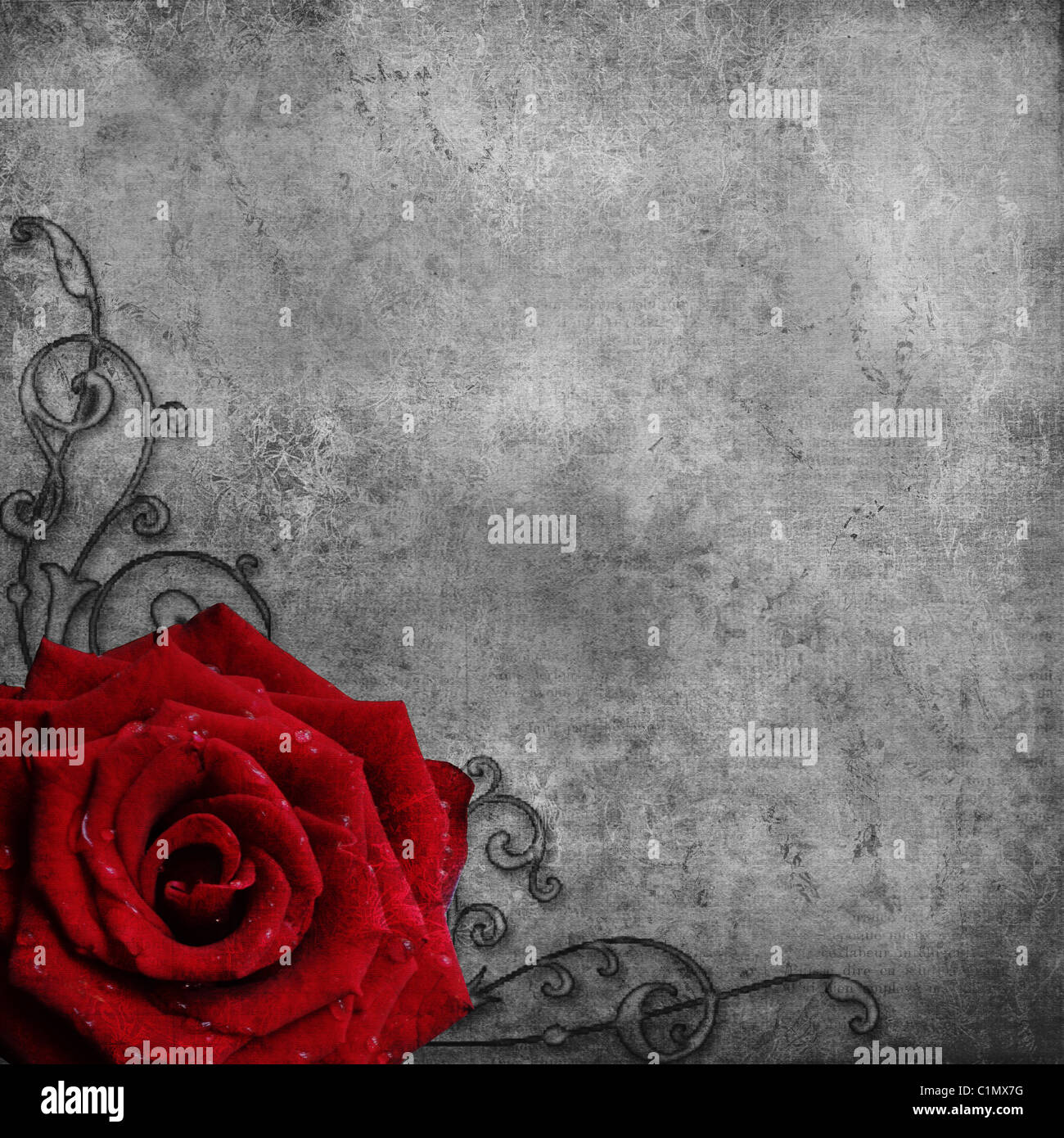 grunge background with red rose Stock Photo - Alamy