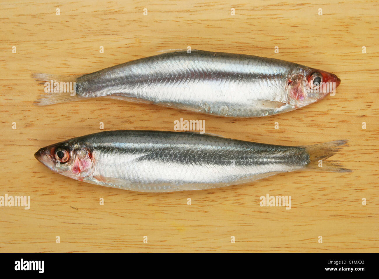 Sprat hi-res stock photography and images - Alamy