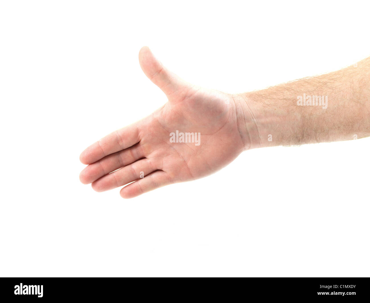 Male hands forming a handshake isolated against a white background ...