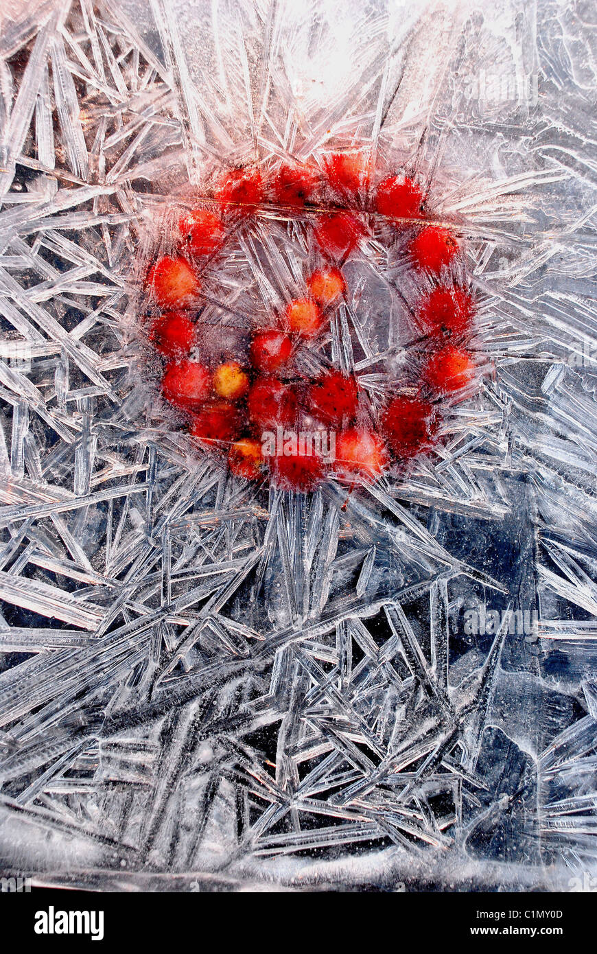 Ice apple illustration hi-res stock photography and images - Alamy