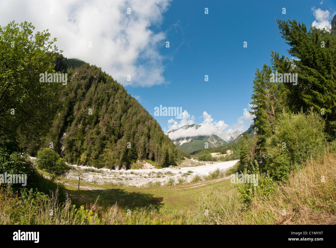Colors of Dolomites Woods in Nothern Italy Stock Photo - Alamy