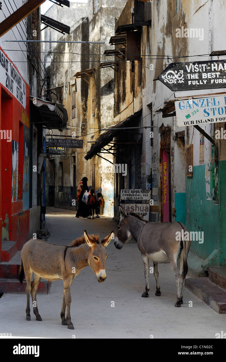 Kenya, Lamu Island, Lamu city listed as World Heritage by UNESCO, the ...