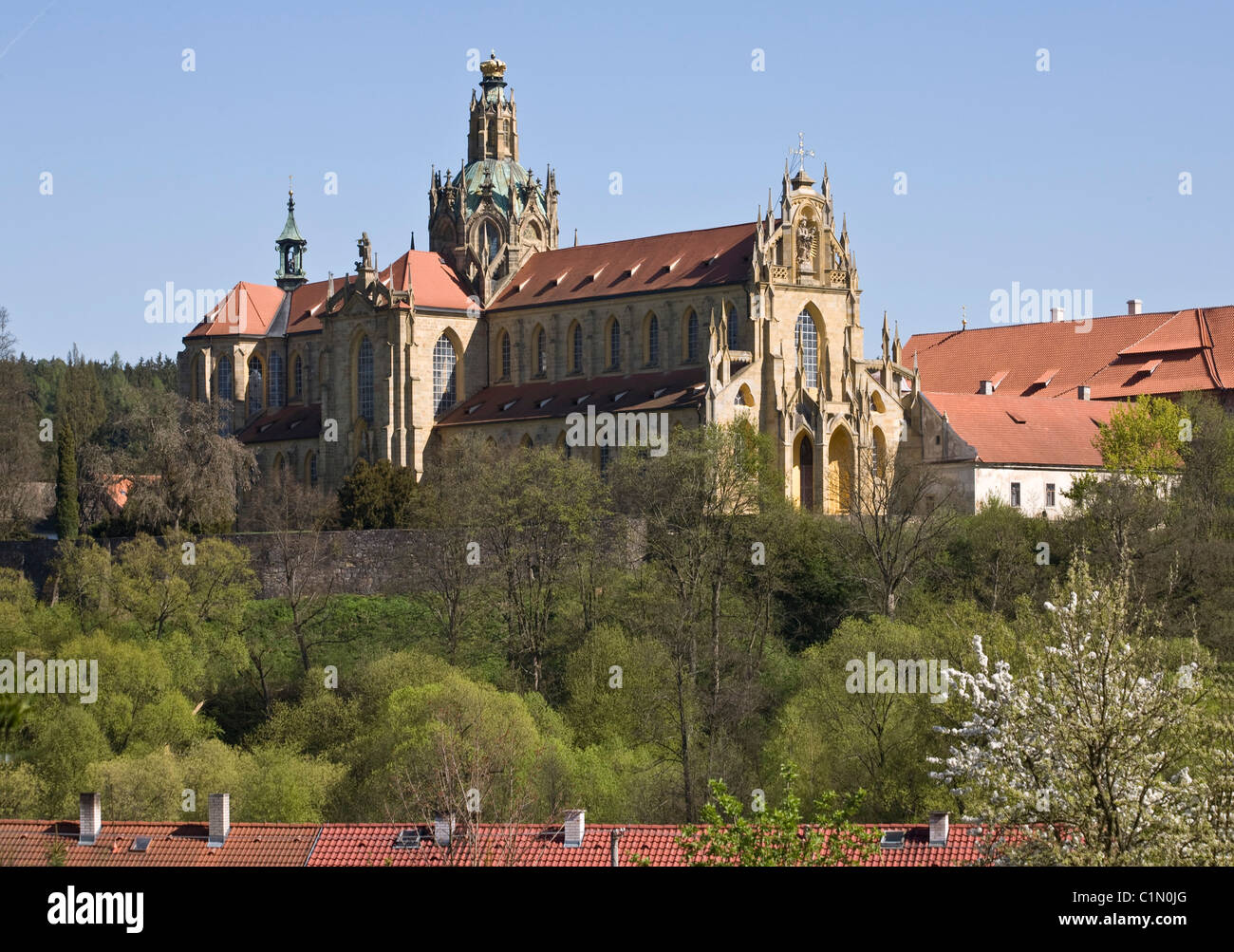 Kladruby hi-res stock photography and images - Alamy