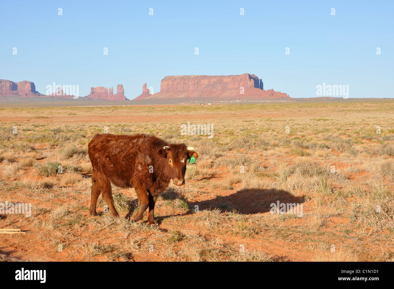Monument Valley, Arizona, USA Stock Photo - Alamy