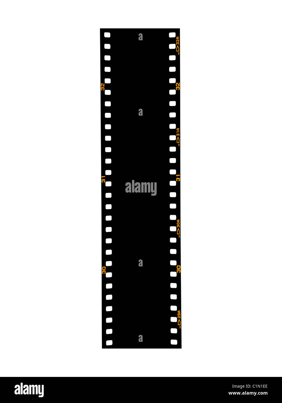 Photographic negatives isolated against a white background Stock Photo ...