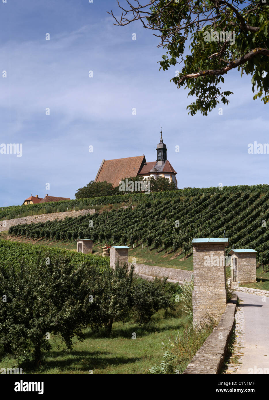 Volkach wine hi-res stock photography and images - Alamy