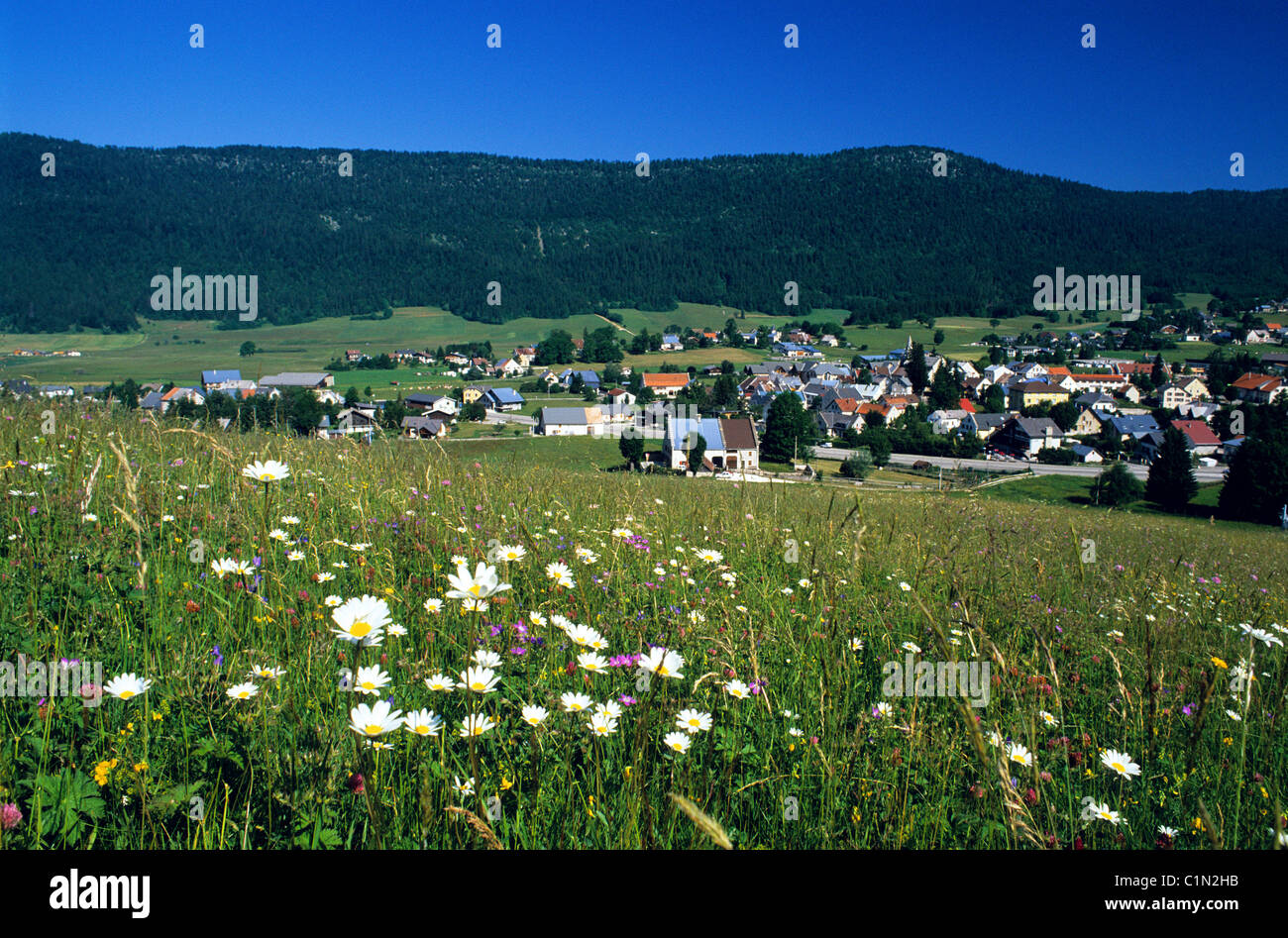 France, Isere, Vercors regional park, village of Autrans Stock Photo ...