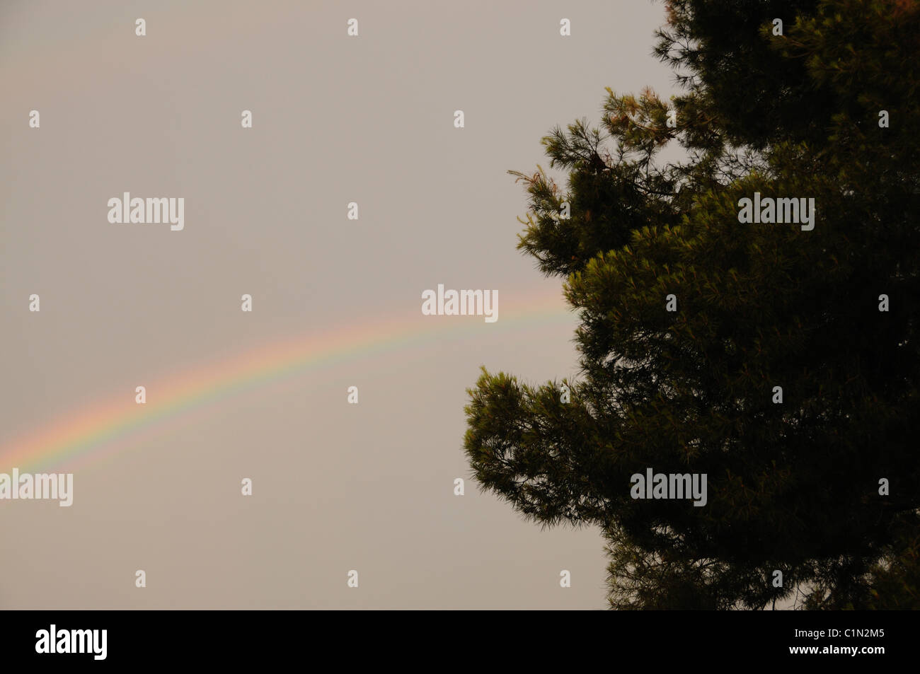 Visible spectrum hi-res stock photography and images - Alamy