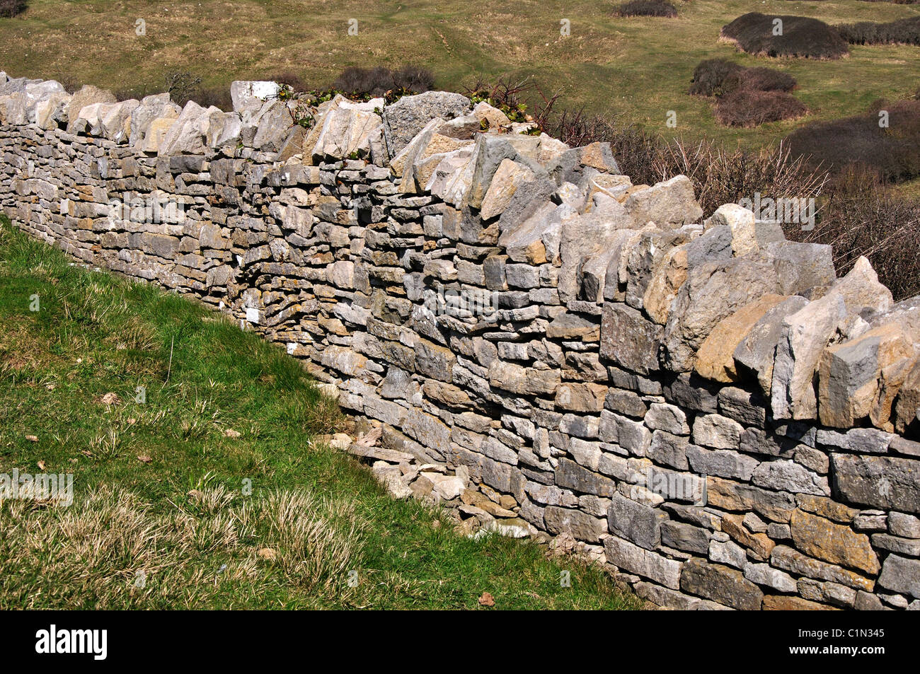 A dry stone wall made from Purbeck stone in Durlston Country Park ...