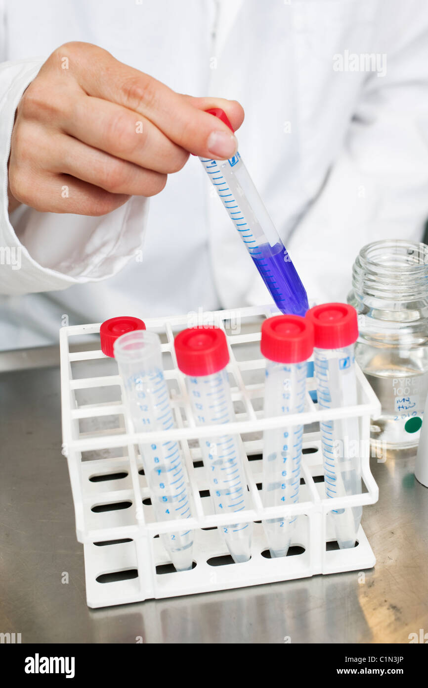 Scientist holding test tube Stock Photo - Alamy