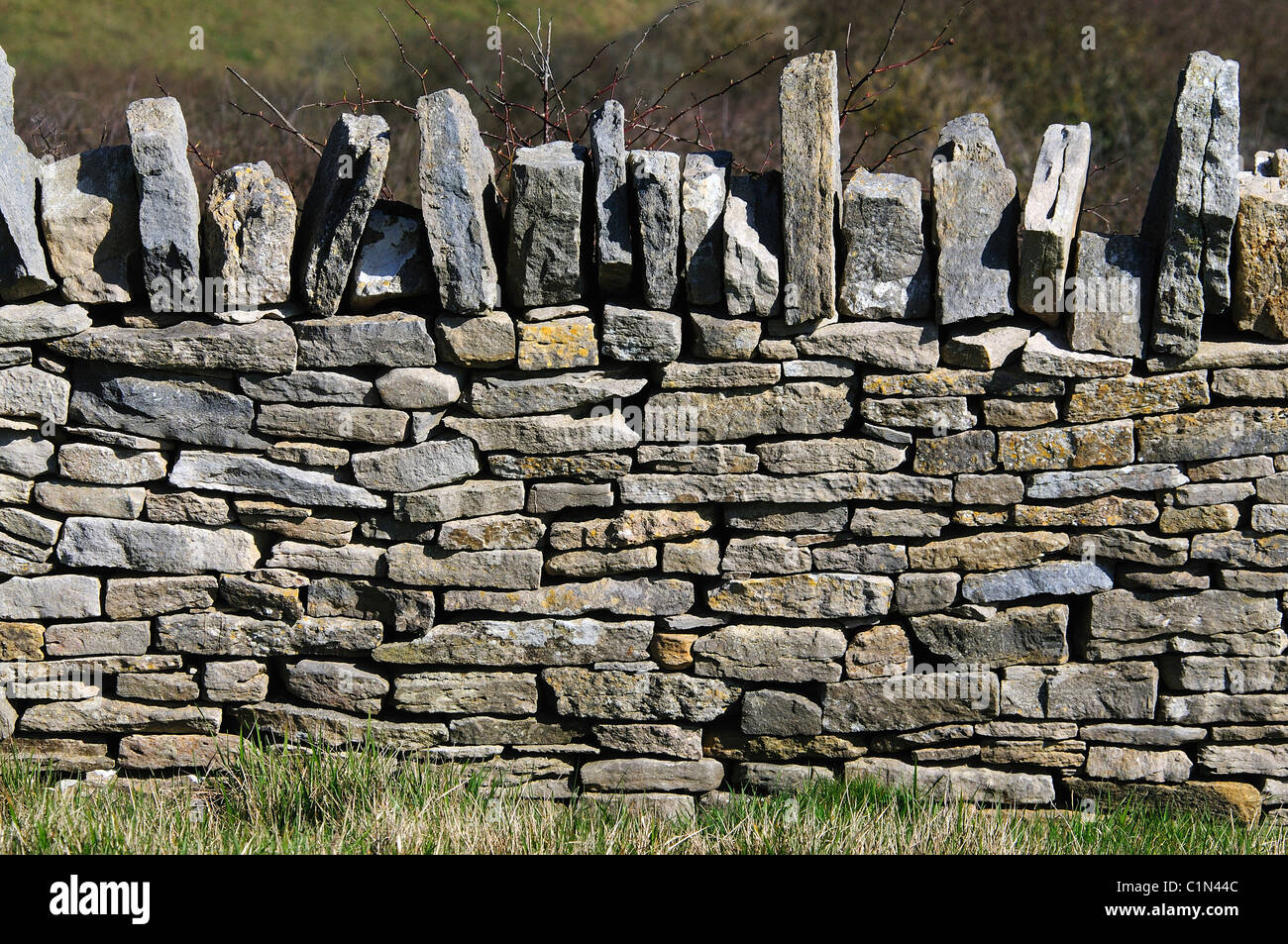 A limestone dry stone wall in the Purbecks, Dorset UK Stock Photo - Alamy