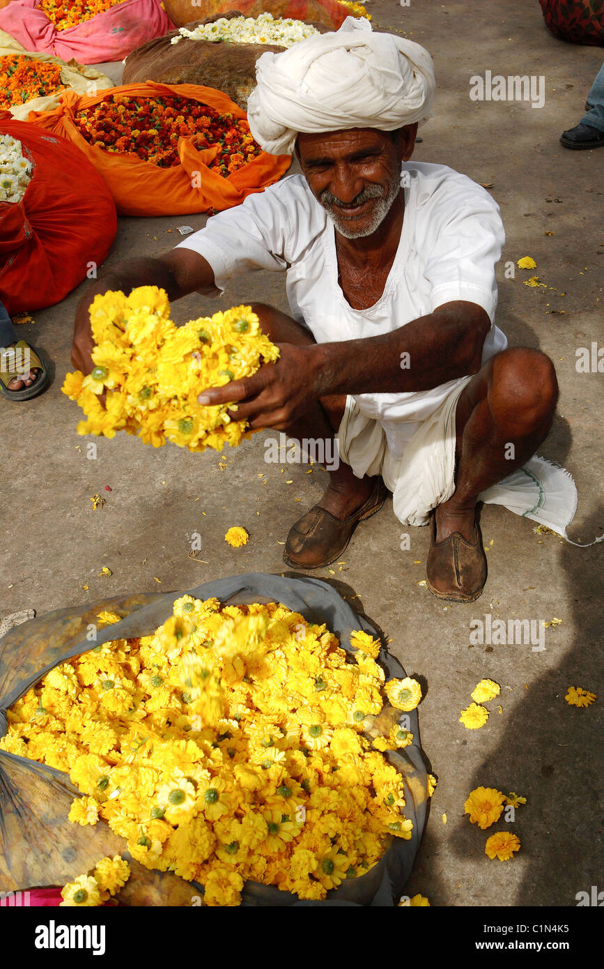 India, Rajasthan State, Jaipur Stock Photo - Alamy
