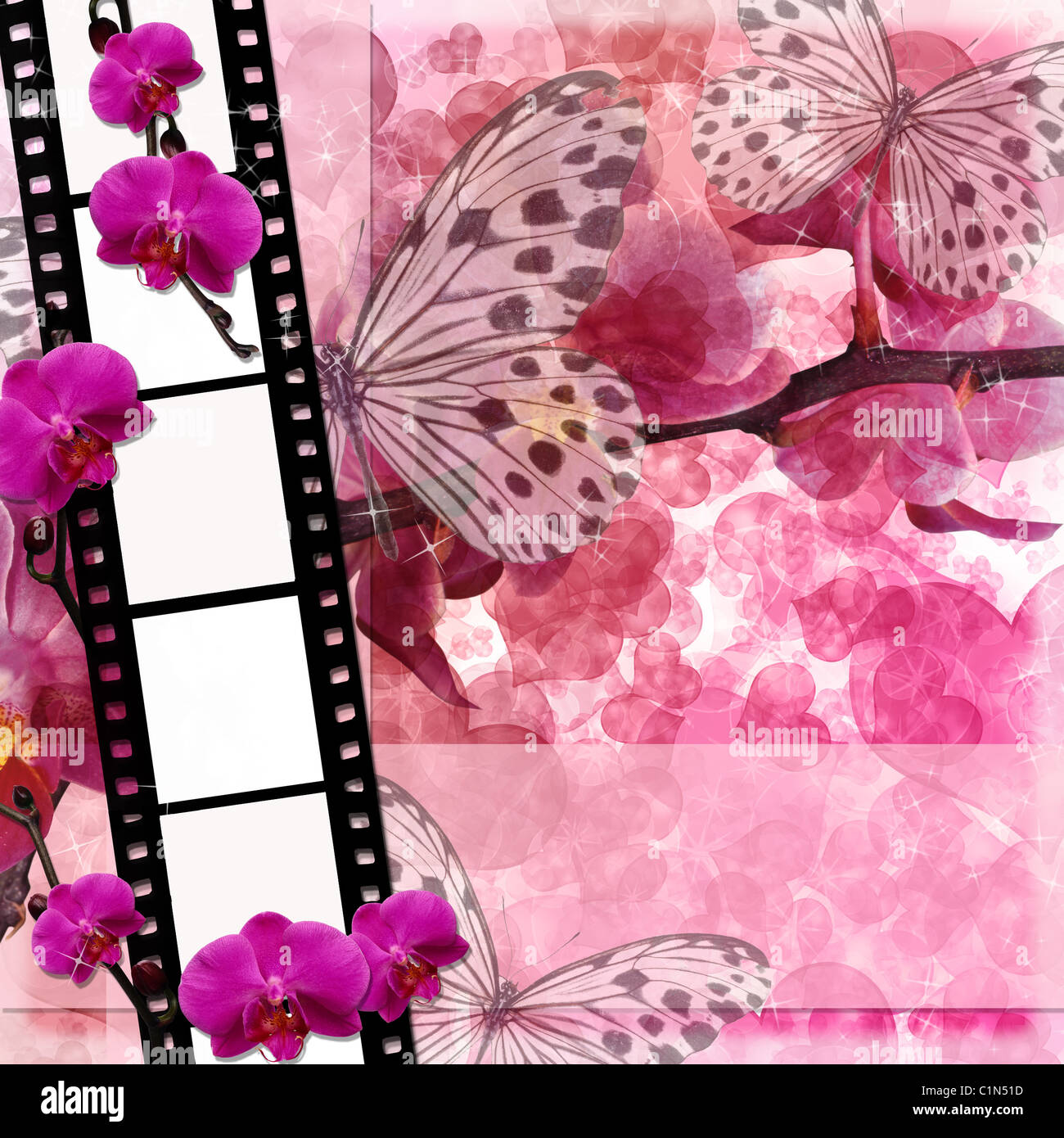 Butterfly Frame Film