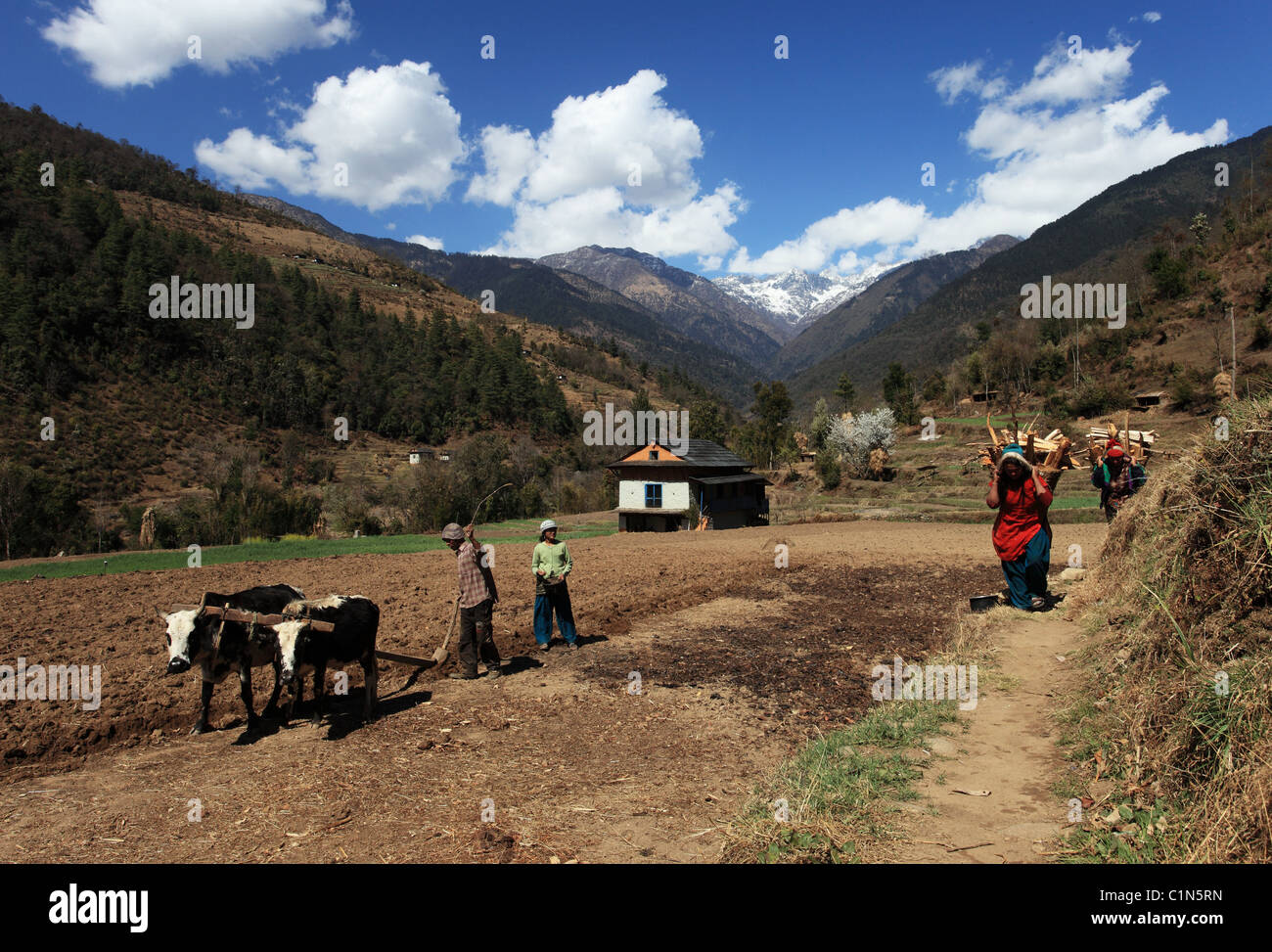 Nepali landscape Nepal Himalaya Stock Photo - Alamy