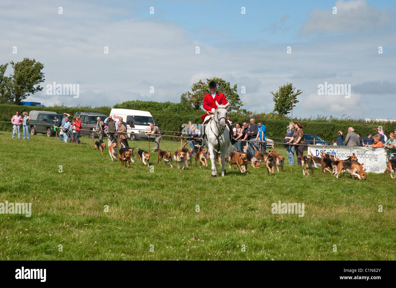 South of england show foxhounds hi-res stock photography and images - Alamy