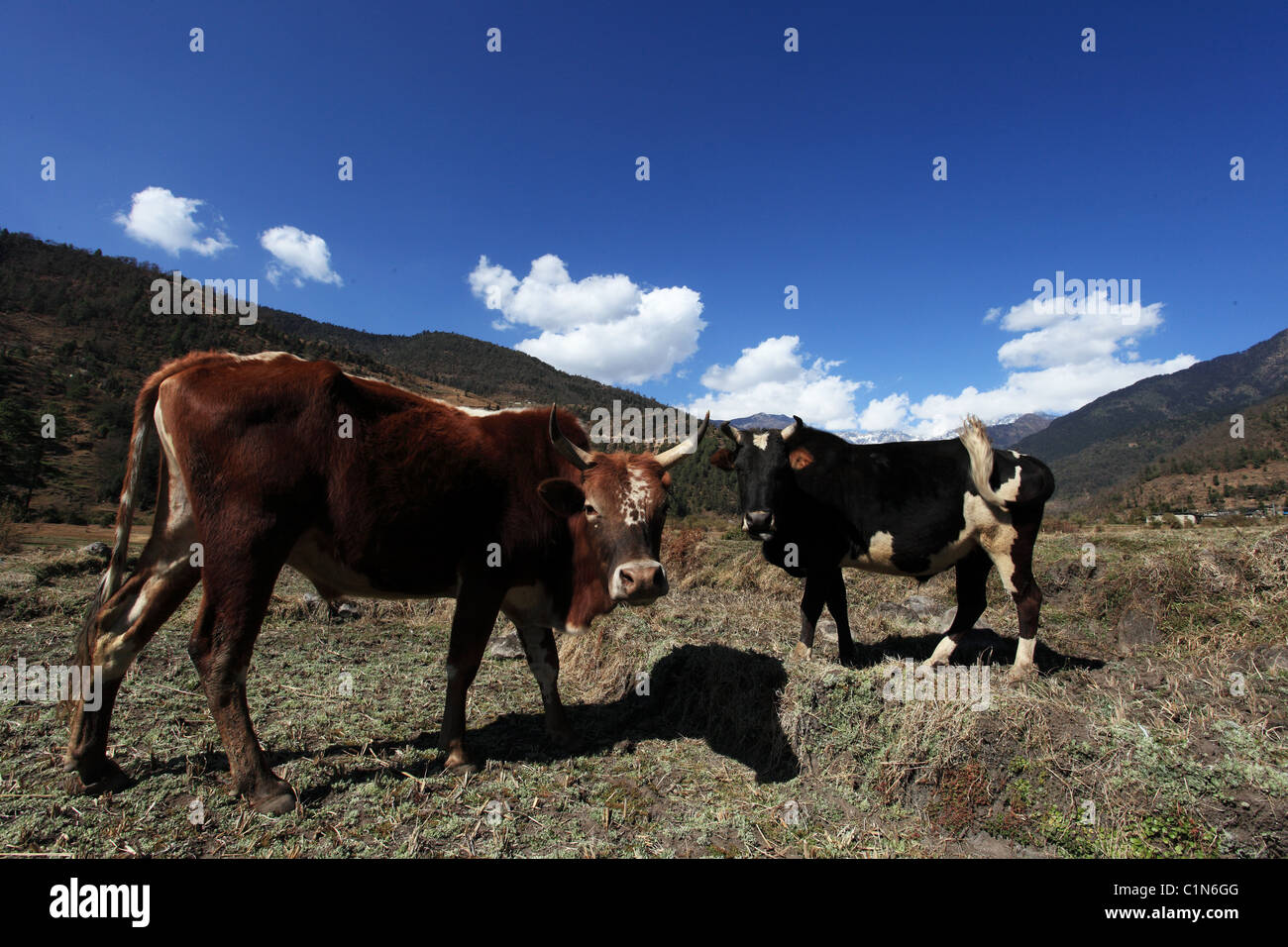 Nepali landscape Nepal Himalaya Stock Photo - Alamy