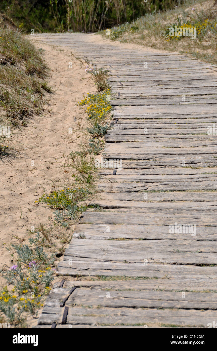 Curve pathways hi-res stock photography and images - Alamy