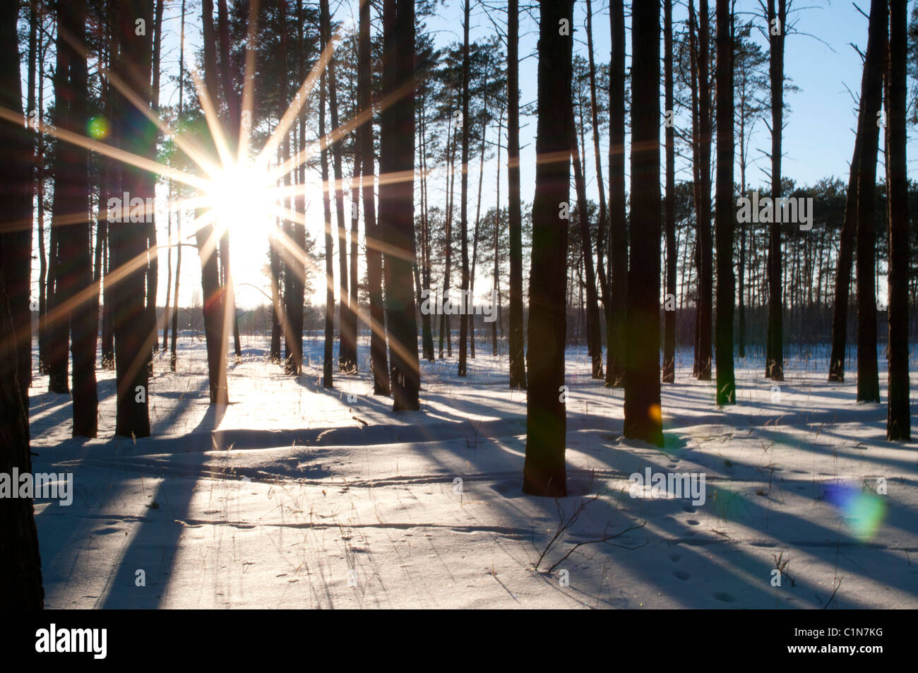 Sunbeam sun beam sun beam hi-res stock photography and images - Alamy