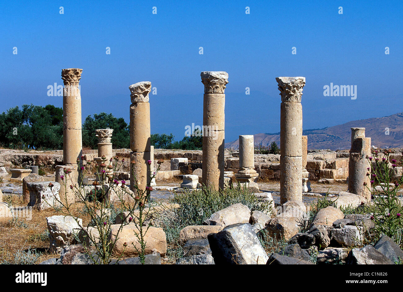 Archeological site um qais hi-res stock photography and images - Alamy