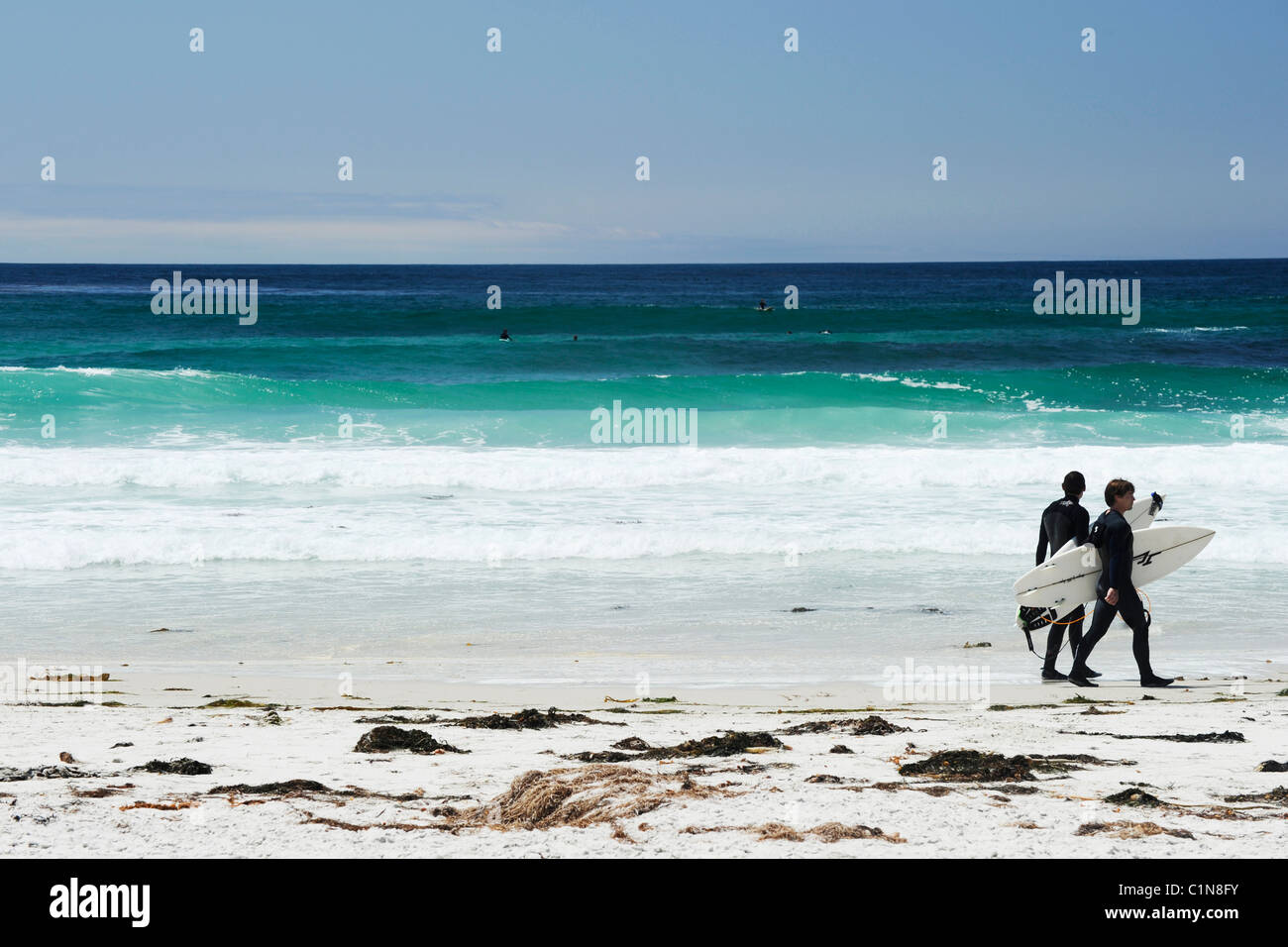 Two surfers in wet suits walking along the beach carrying their boards ...